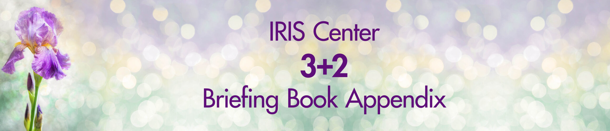 IRISIRIS Center 3+2 Appendix