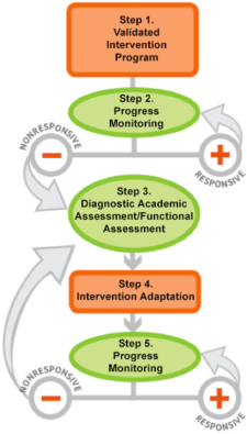 IRIS | Page 1: Overview of Data-Based Individualization